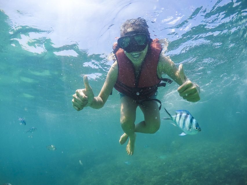 Koh Samui: Pig Island & Koh Tan Snorkeling by Speed boat - The Experience in Perspective