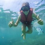 Koh Samui Pig Island Tour by Speedboat with Snorkeling - Pricing and Value