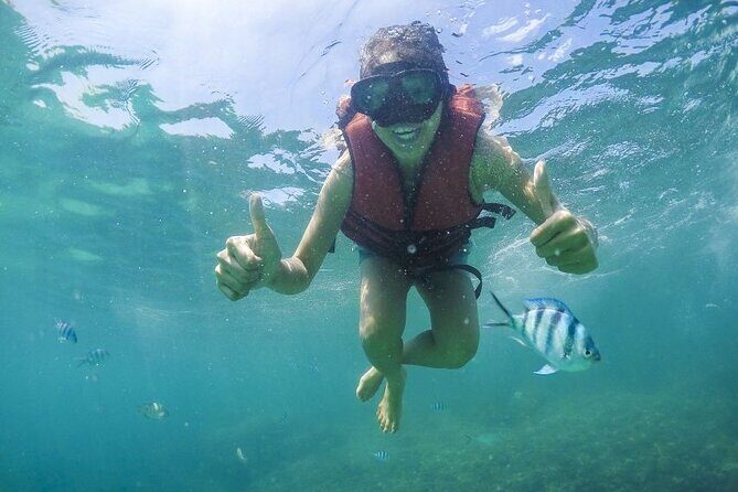 Koh Samui Pig Island Tour by Speedboat with Snorkeling - Pricing and Value