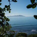 Kpiti Coast: Escarpment Track Guided Hiking Tour, Coffee + Lunch - What Travelers Say