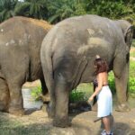 Krabi Elephant Sanctuary and Emerald Pool Adventure - Who Will Love This Tour?