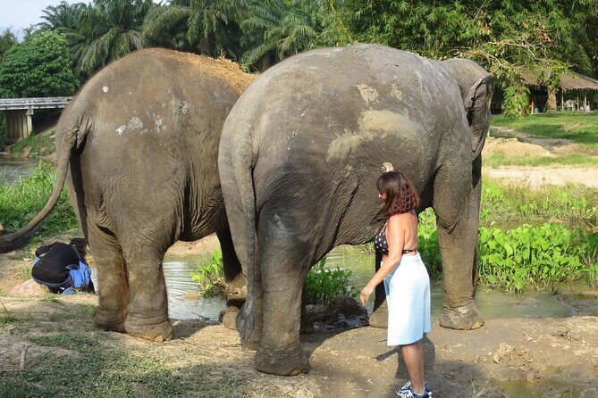 Krabi Elephant Sanctuary and Emerald Pool Adventure - Who Will Love This Tour?