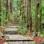 Kumano Kodo Private Guided Tour from Kumano Hongu Taisha - Who Should Consider This Tour?