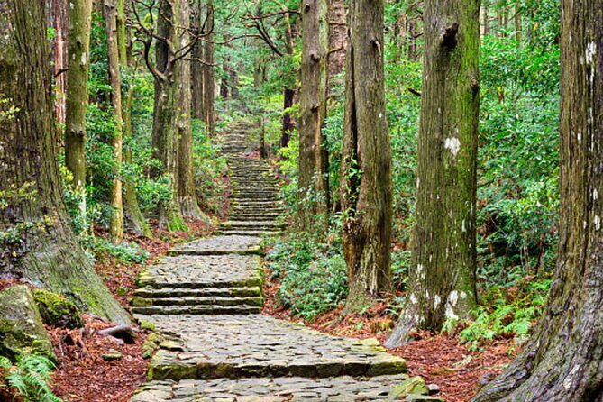 Kumano Kodo Private Guided Tour from Kumano Hongu Taisha - Who Should Consider This Tour?