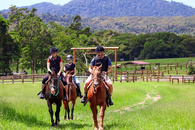 Kuranda 60 minute Horse Trail Ride and Petting Farm - What’s Included and What’s Not