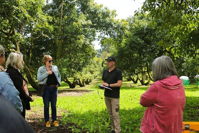 Kwizine Foodie Tour In Western Bay Of Plenty - Who Will Get the Most Out of This Tour?