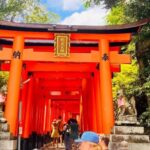 Kyoto and Nara Customised Full Day Private Tour with Pickup - What Are the Key Points?