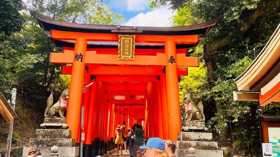 Kyoto and Nara Customised Full Day Private Tour with Pickup - What Are the Key Points?