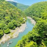 Kyoto Customized Guided, Private Tour - The Value and Practical Aspects