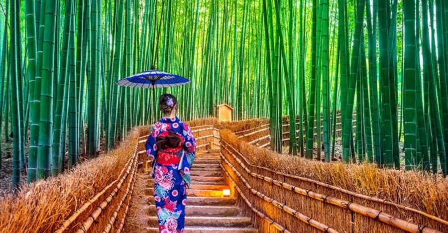 Kyoto Day Tour with Certified Tour Guide & Luxury vehicle - The Itinerary: A Closer Look