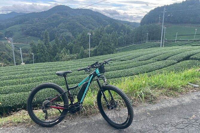 Kyoto E-Bike Rent (Powerful & Long model) - Itinerary Breakdown