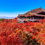 Kyoto: Early Morning Landmarks Tour with Pickup - Who Should Consider This Tour?