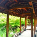Kyoto Higashi Hongan-ji Temple and Shsei-en Garden Walk Tour - The Detailed Stops: What You’ll See and Learn