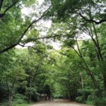 Kyoto: Kamigamo and Shimogamo Shrines Guided Tour 3h - FAQs