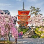 Kyoto & Nara Private Customized, Guided Tour - A Deep Dive into the Experience