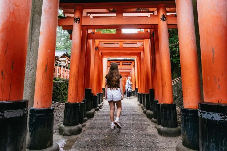 Kyoto: Nijo Castle, Arashiyama, Kiyomizu & Fushimi Inari - Who is This Tour Best For?