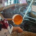 Kyoto Private Custom Tour: World Heritage, Landmarks & Local Life - Introduction: Why Choose This Kyoto Private Tour?