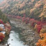 Kyoto Private Sightseeing Tours with English Speaking Driver - The Practicalities: Logistics and Planning