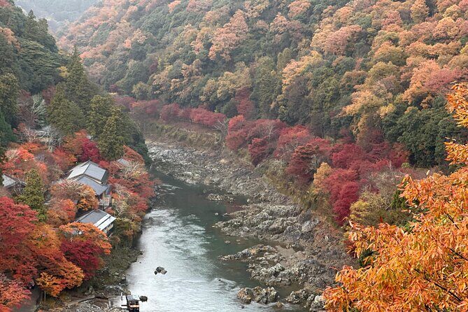 Kyoto Private Sightseeing Tours with English Speaking Driver - The Practicalities: Logistics and Planning