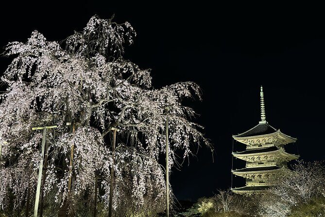 Kyoto/ Private Tour delivered and guided by a top-tier driver - Why this tour is a smart choice