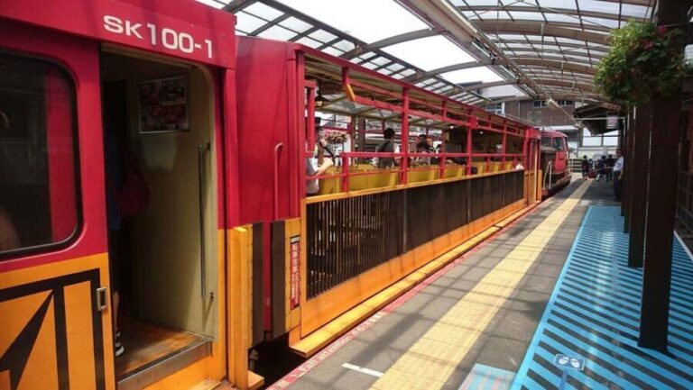 Kyoto: Sagano Scenic Railway, River Cruise, & Sake Tour - What to Expect: Practical Details