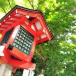 Kyoto: Serene Morning Walk in Arashiyama Bamboo Grove - Exploring the Experience in Detail