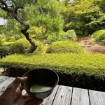 Kyoto: Shakyo & Matcha in Historic Temple Garden - The Itinerary: A Well-Thought-Out Flow