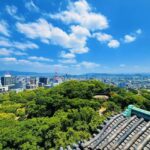 Kyoto:Kimono Tea Ceremony Experiencw Tour - Who This Tour Is Best For