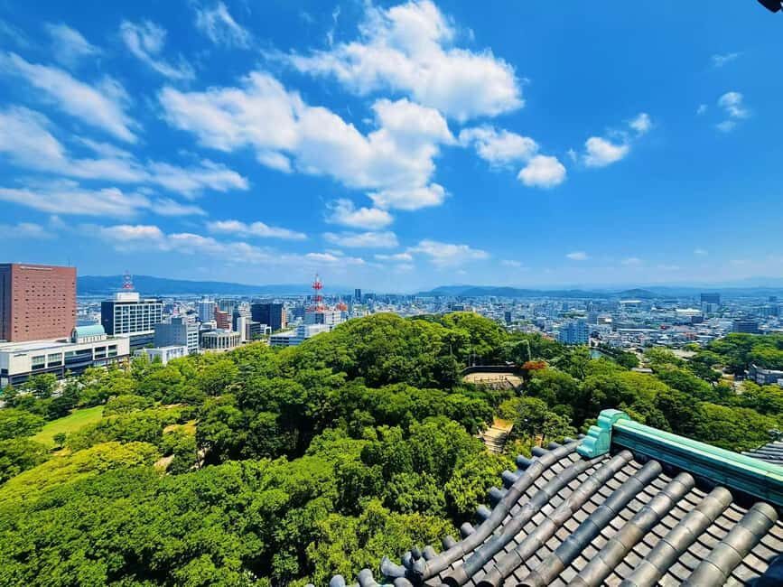 Kyoto:Kimono Tea Ceremony Experiencw Tour - Who This Tour Is Best For