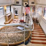 Kyushu Day Tour:Aso Boy Scenic Train, Aso Volcano,Kumamoto Castle - Who This Tour Suits Best