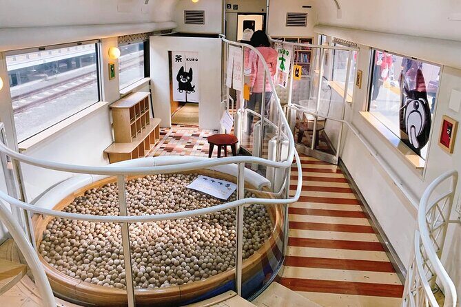 Kyushu Day Tour:Aso Boy Scenic Train, Aso Volcano,Kumamoto Castle - Who This Tour Suits Best