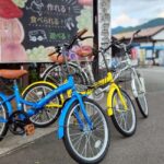 Lake Kawaguchi: 1-Day Bicycle Rental - Who Should Consider This?