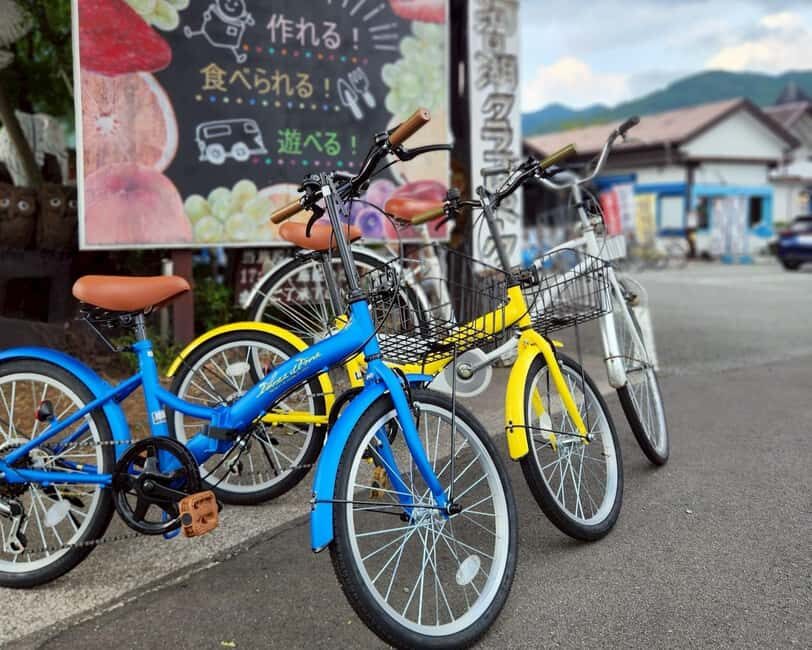 Lake Kawaguchi: 1-Day Bicycle Rental - Who Should Consider This?