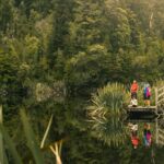 Lake Matheson Nature Tour - Final Thoughts: Is It Worth It?