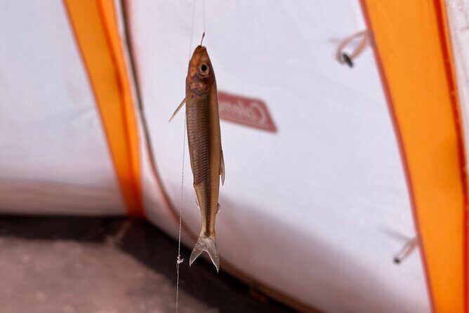 Lake Nukabira Smelt Fishing Private Tour - The Joy of Catching and Tasting Your Fish