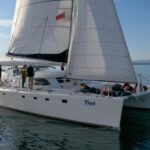 Lake Taupo: Luxury Sailing Catamaran to Mori Rock Carvings - The Sum Up