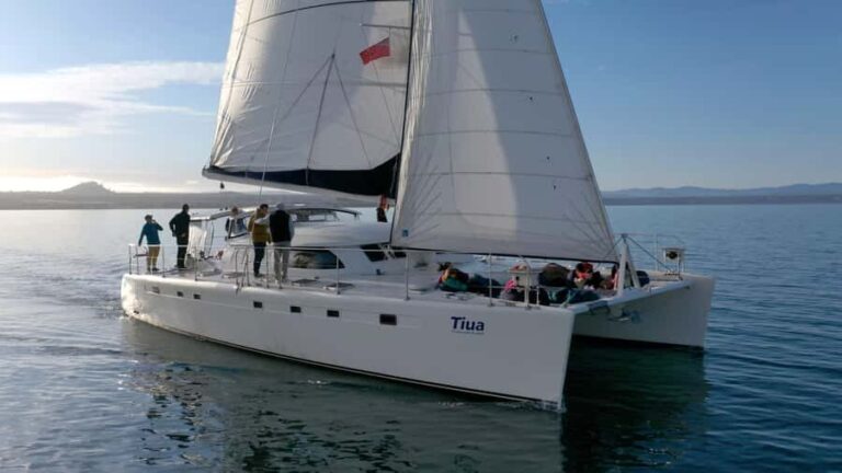 Lake Taupo: Luxury Sailing Catamaran to Mori Rock Carvings - The Sum Up