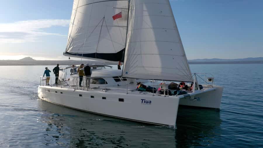 Lake Taupo: Luxury Sailing Catamaran to Mori Rock Carvings - The Sum Up