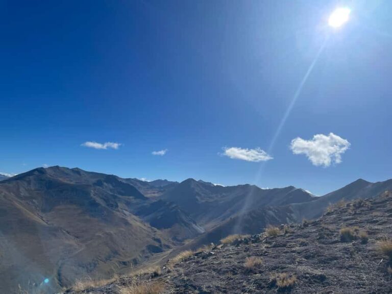 Lake Tekapo Guided Hiking - What Makes This Tour Stand Out?