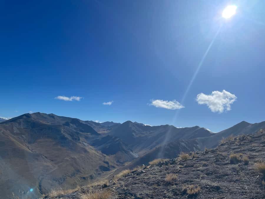 Lake Tekapo Guided Hiking - What Makes This Tour Stand Out?