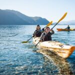 Lake Wanaka Roy's Bay Kayak Tour - Why This Tour Offers Great Value