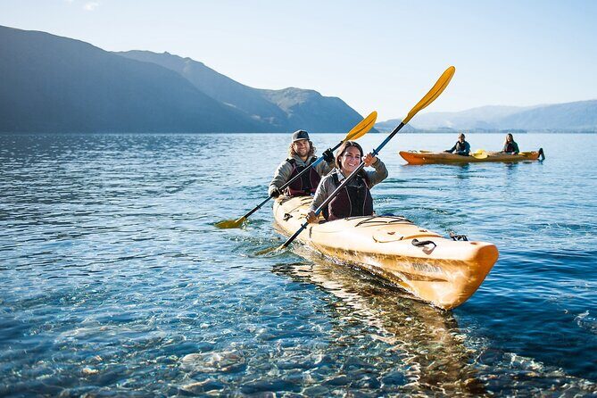 Lake Wanaka Roy's Bay Kayak Tour - Why This Tour Offers Great Value