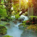 Lalita Cafe & Chiang Rai Temple(White+Blue) from Chiangmai - The Tranquility of Mae Kachan Hot Springs