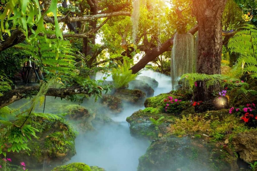 Lalita Cafe & Chiang Rai Temple(White+Blue) from Chiangmai - The Tranquility of Mae Kachan Hot Springs