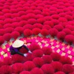 Lan Ha Bay Cruise & Trang An Visit: 3-Day Hanoi Tour Package - Practical Tips for Travelers