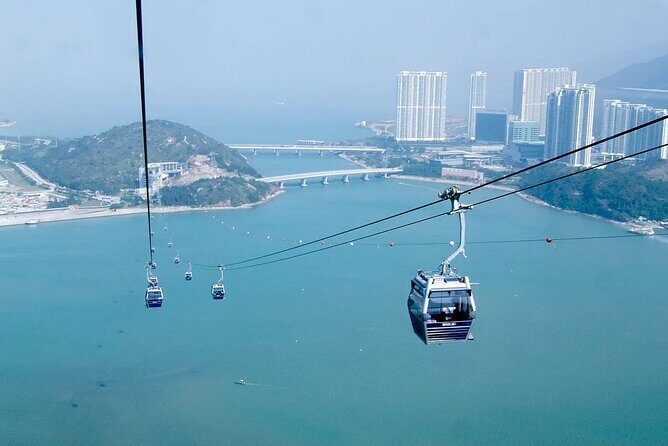 Lantau Island Day Trip | Big Buddha, Dolphin Watching & Cable Car - The Practical Side: Transportation, Cost, and Comfort