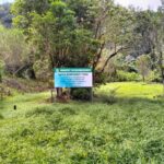 Lautoka CruiseShip Port to Abaca Waterfall Hiking Round Trip - Additional Details and Practical Tips