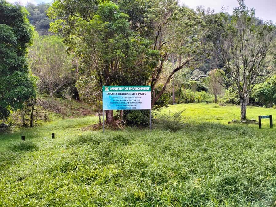 Lautoka CruiseShip Port to Abaca Waterfall Hiking Round Trip - Additional Details and Practical Tips