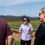 Lavender Farm - Bridestowe Festival of Flowers - What Makes This Tour Stand Out?