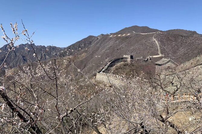Layover Trip to Great Wall with English Driver in Beijing - What Travelers Say: Authentic Experiences and Practicality